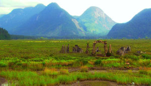 Cylon History - Battlestar Wiki